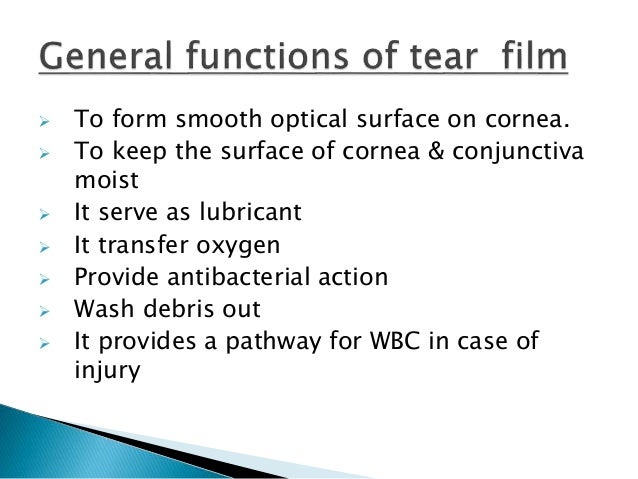 anatomy And Physiology of tear film