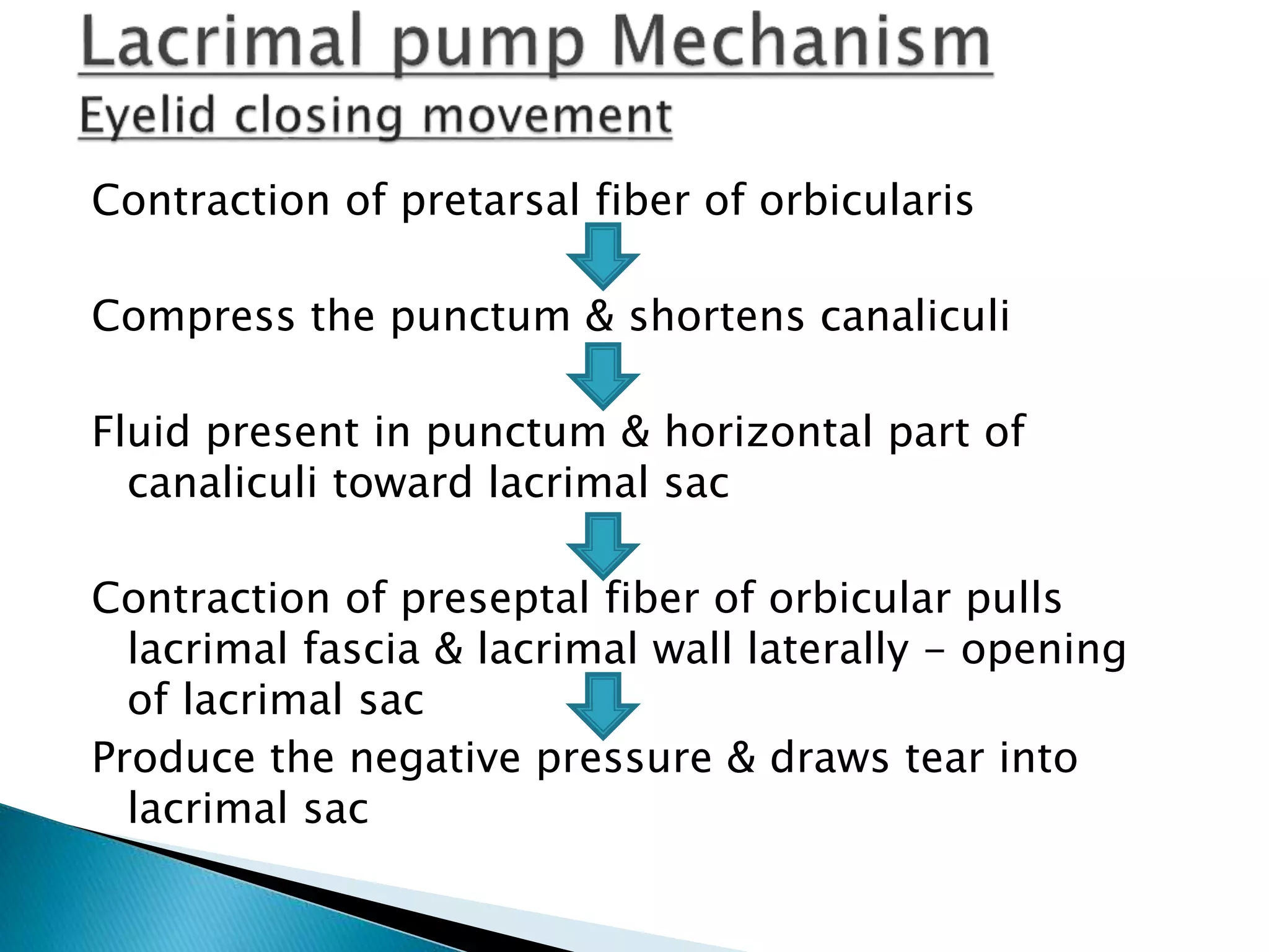 Physiology of tear film & it’s drainage | PPTX
