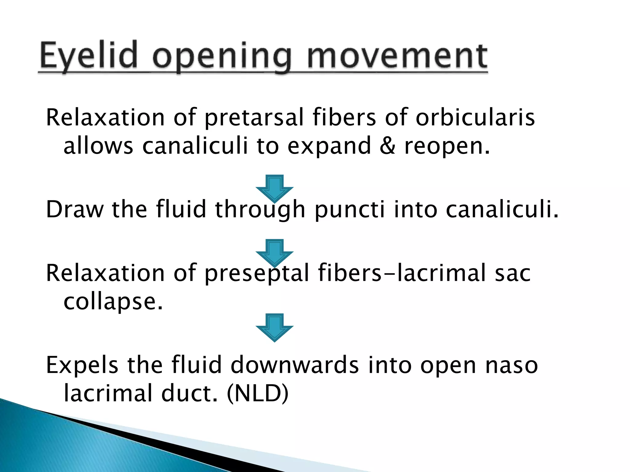 Physiology of tear film & it’s drainage | PPTX
