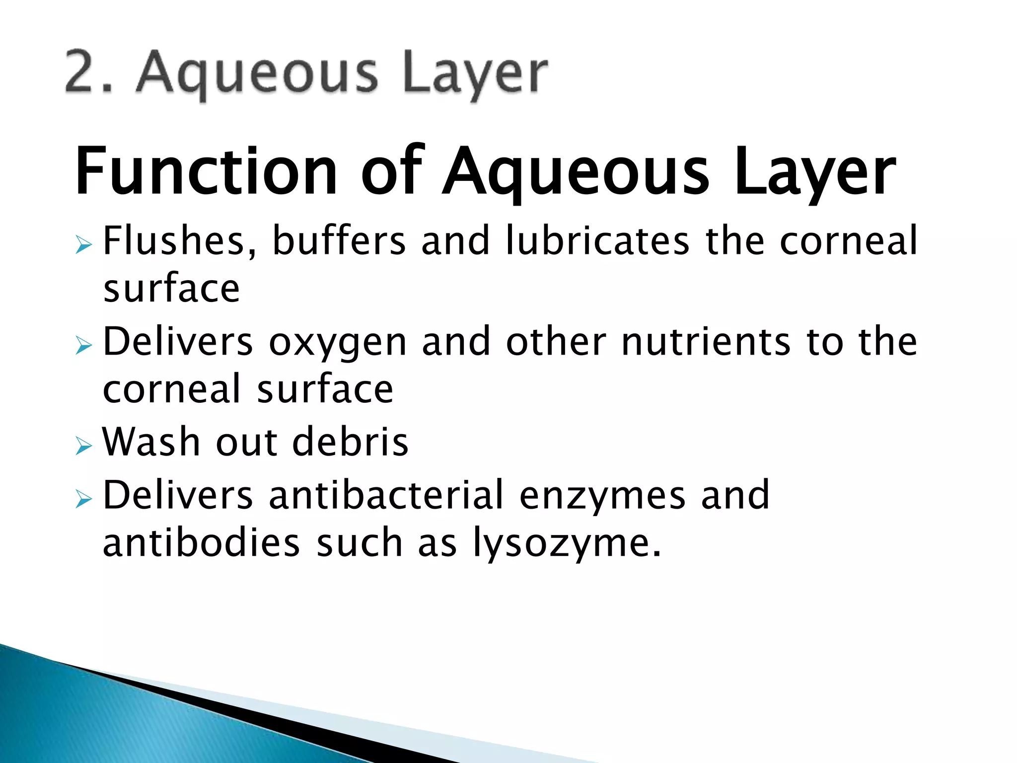 Physiology of tear film & it’s drainage | PPTX