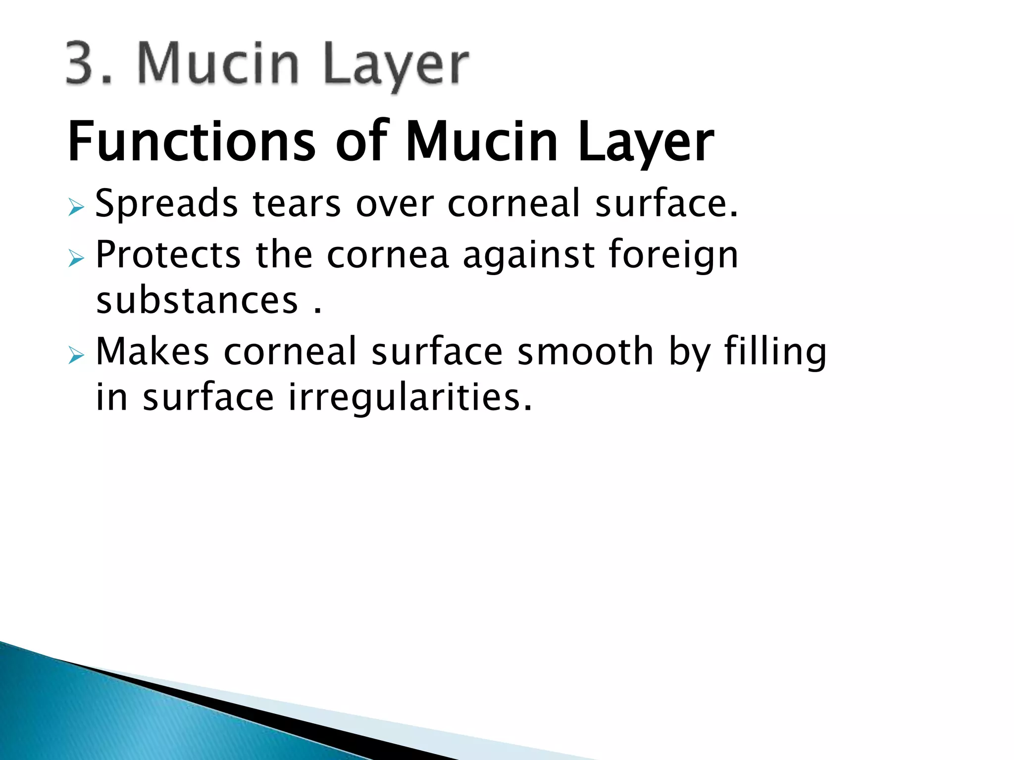 Physiology of tear film & it’s drainage | PPTX