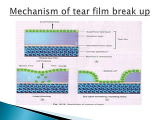 Physiology of tear film & it’s drainage | PPTX