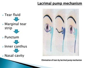 Physiology of tear film & it’s drainage | PPTX
