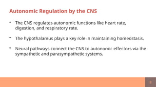 Physiology Of Thecentral Nervous System.pptx