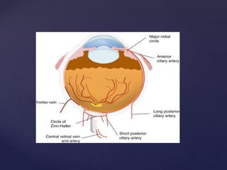 Physiology of the choroid Lectures notes (2).ppt