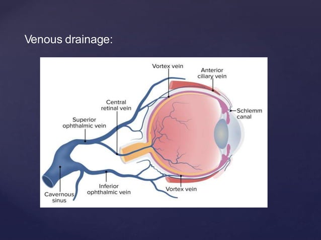 Physiology of the choroid Lectures notes (2).ppt