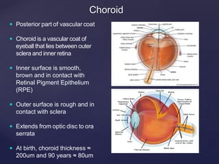 Physiology of the choroid Lectures notes (2).ppt