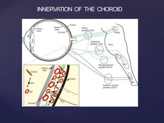 Physiology of the choroid Lectures notes (2).ppt