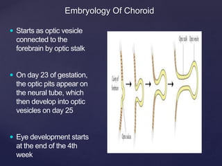 Physiology of the choroid Lectures notes (2).ppt