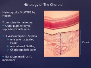 Physiology of the choroid Lectures notes (2).ppt