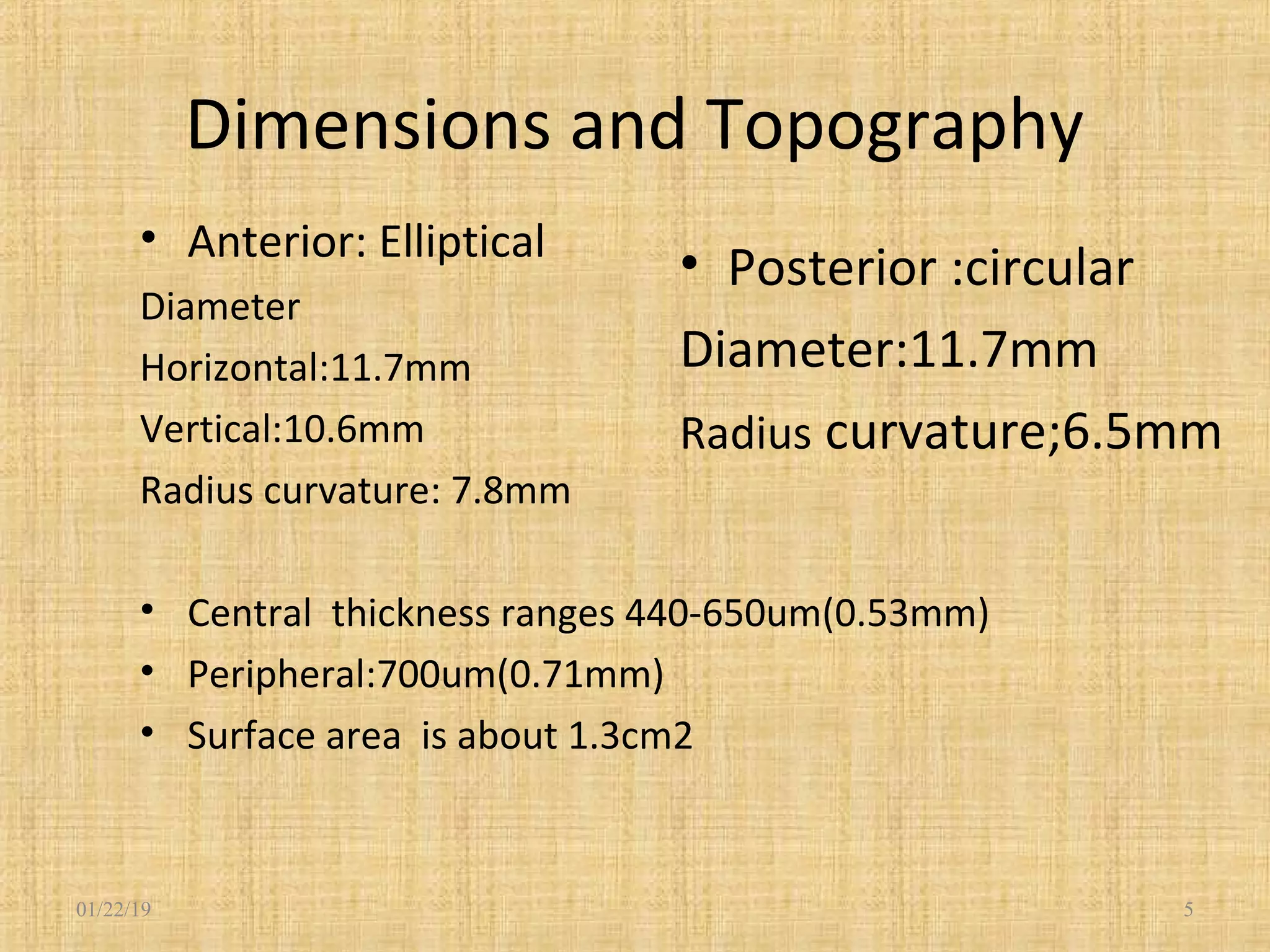 Physiology of the cornea | PPT