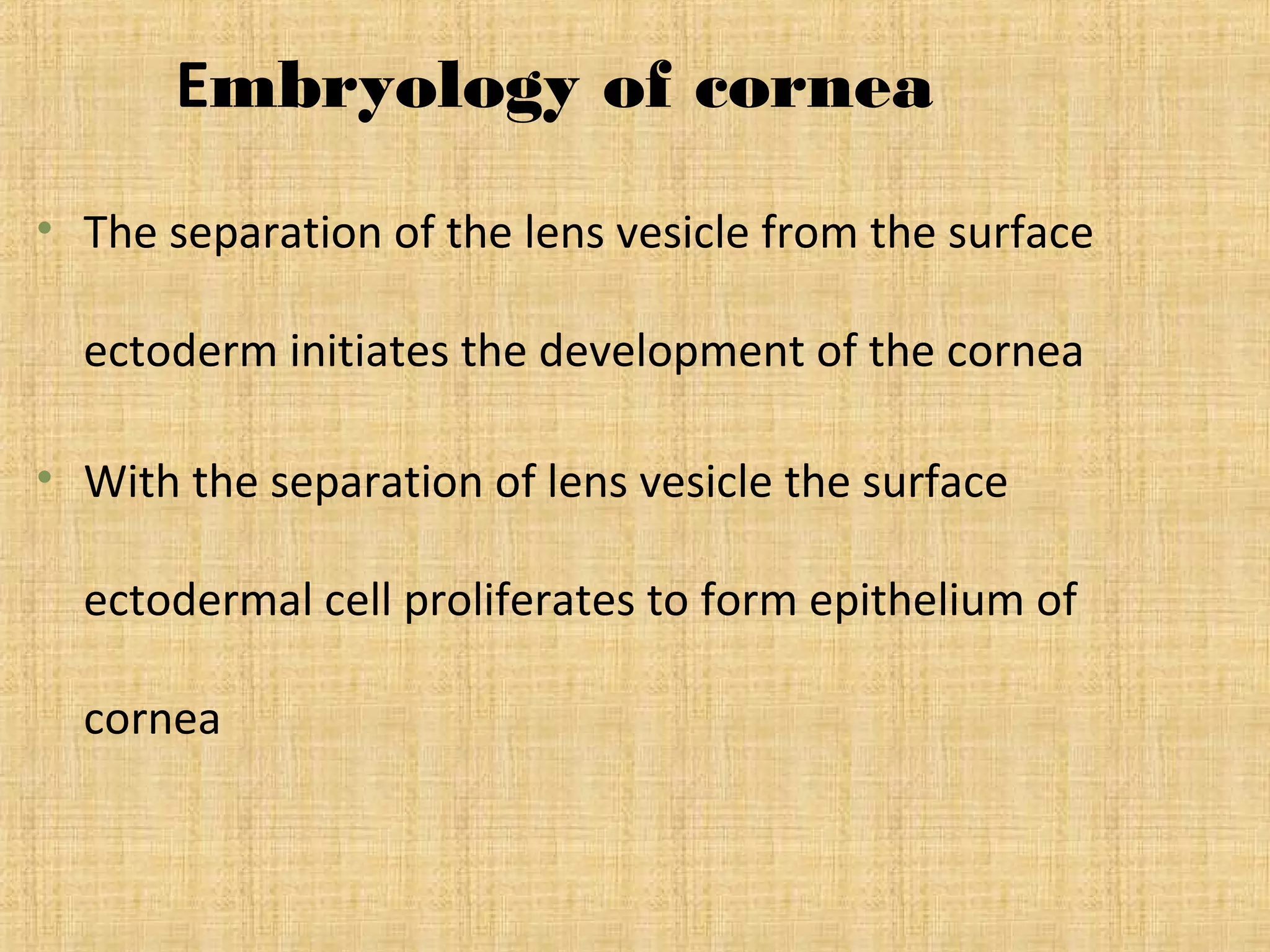 Physiology of the cornea | PPT