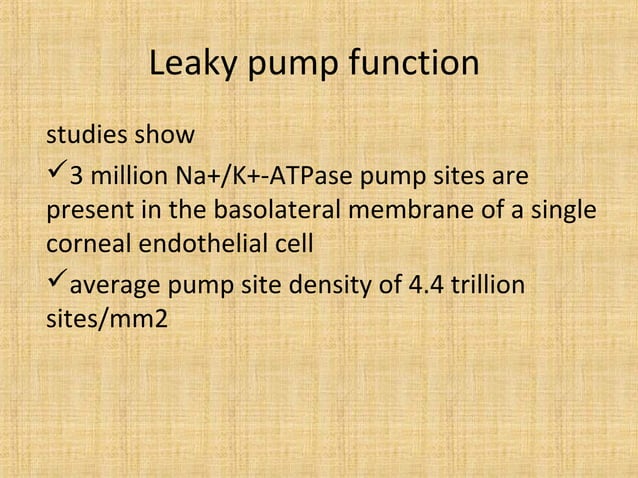 Physiology of the cornea | PPT