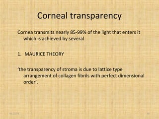 Physiology of the cornea | PPT