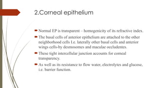 PHYSIOLOGY OF THE CORNEA Hashim pre.pptx