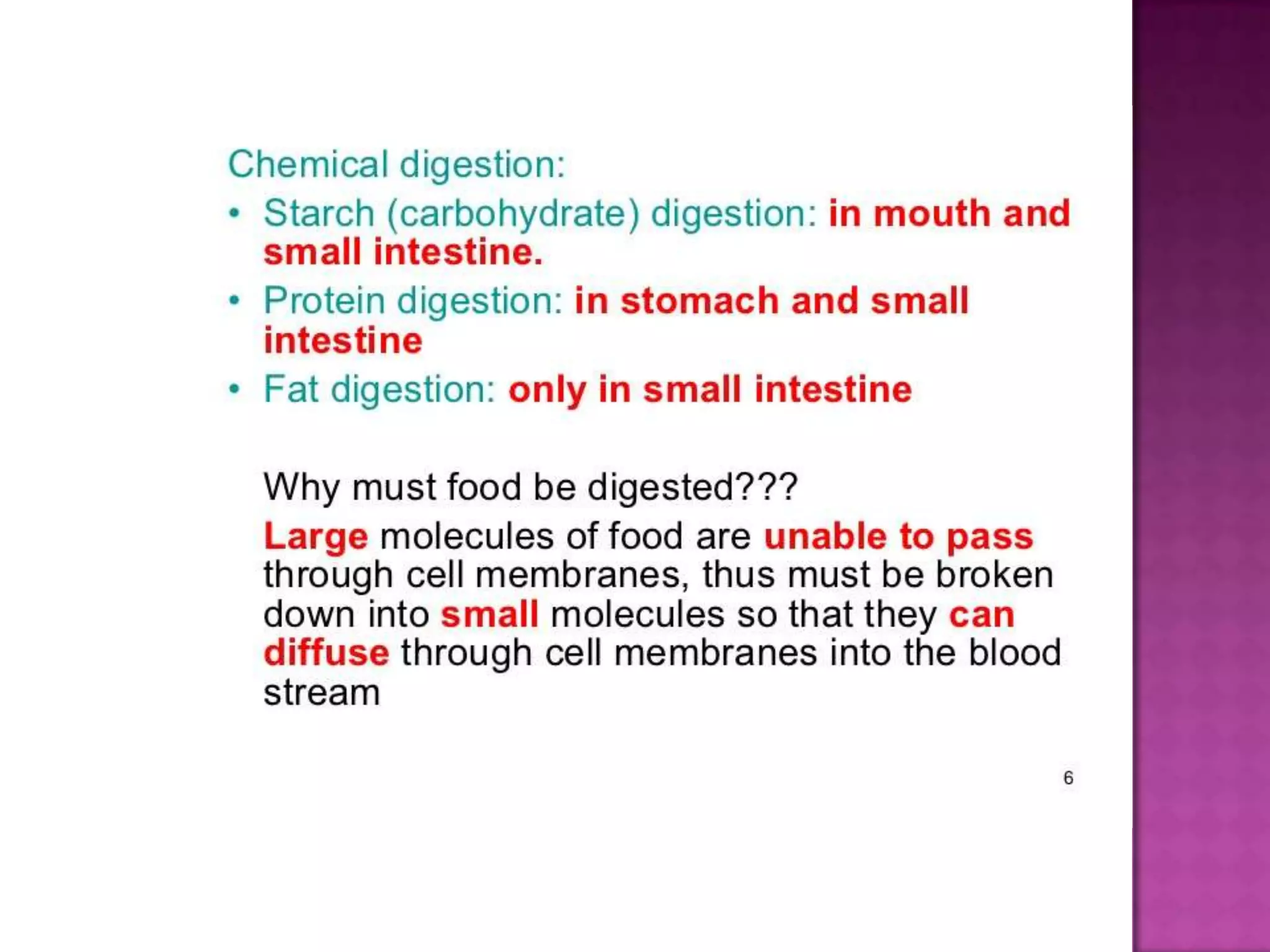 Physiology of the digestive system | PPTX
