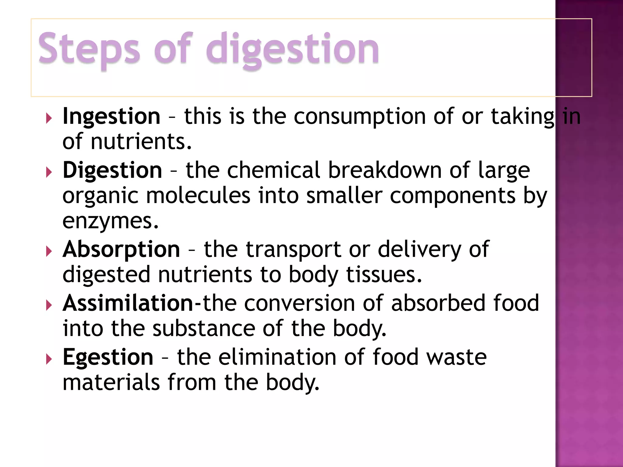 Physiology of the digestive system | PPTX