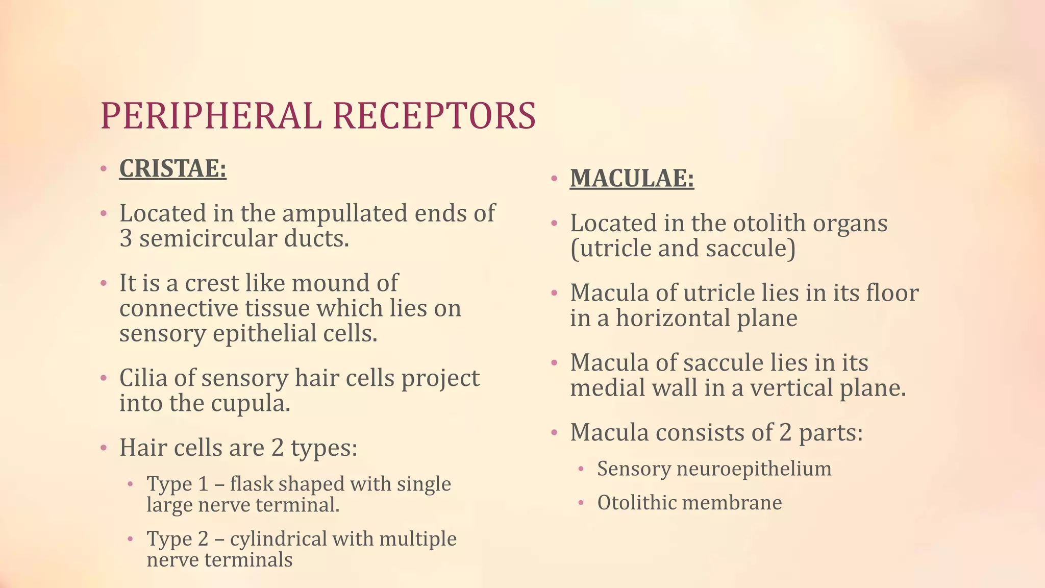Physiology of the ear | PPTX