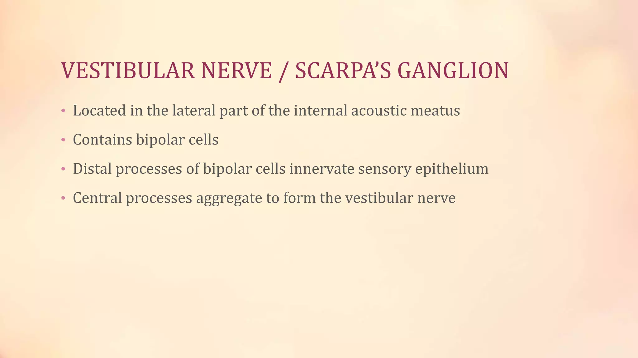 Physiology of the ear | PPTX