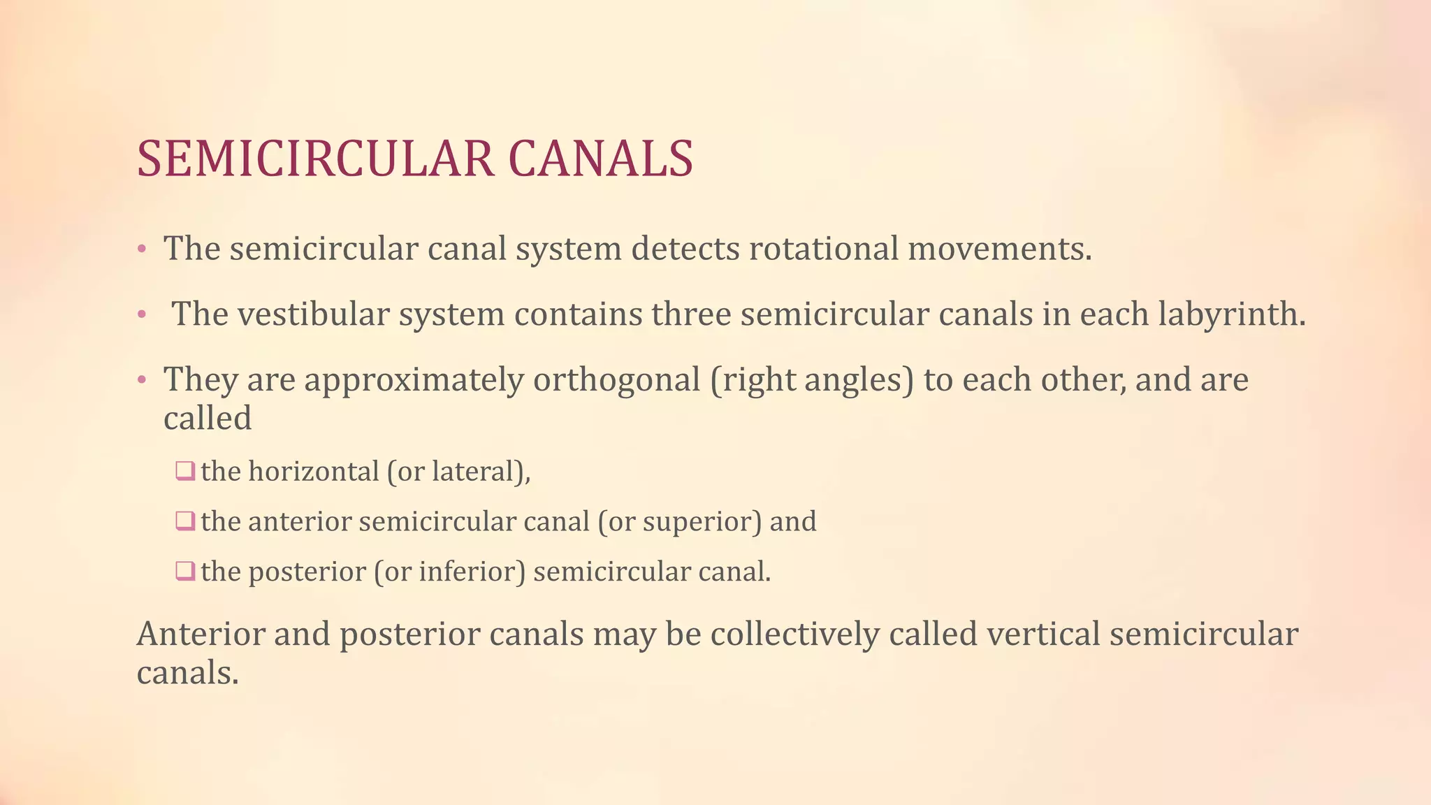 Physiology of the ear | PPTX