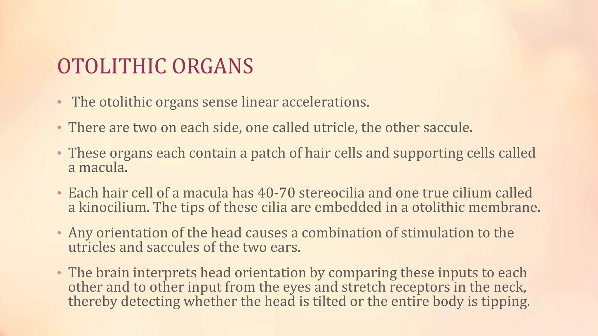 Physiology of the ear | PPTX