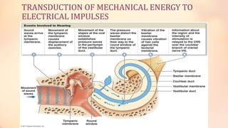 Physiology of the ear | PPTX