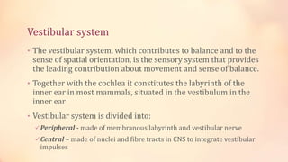 Physiology of the ear | PPTX