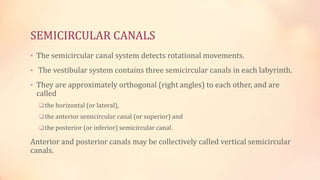 Physiology of the ear | PPTX