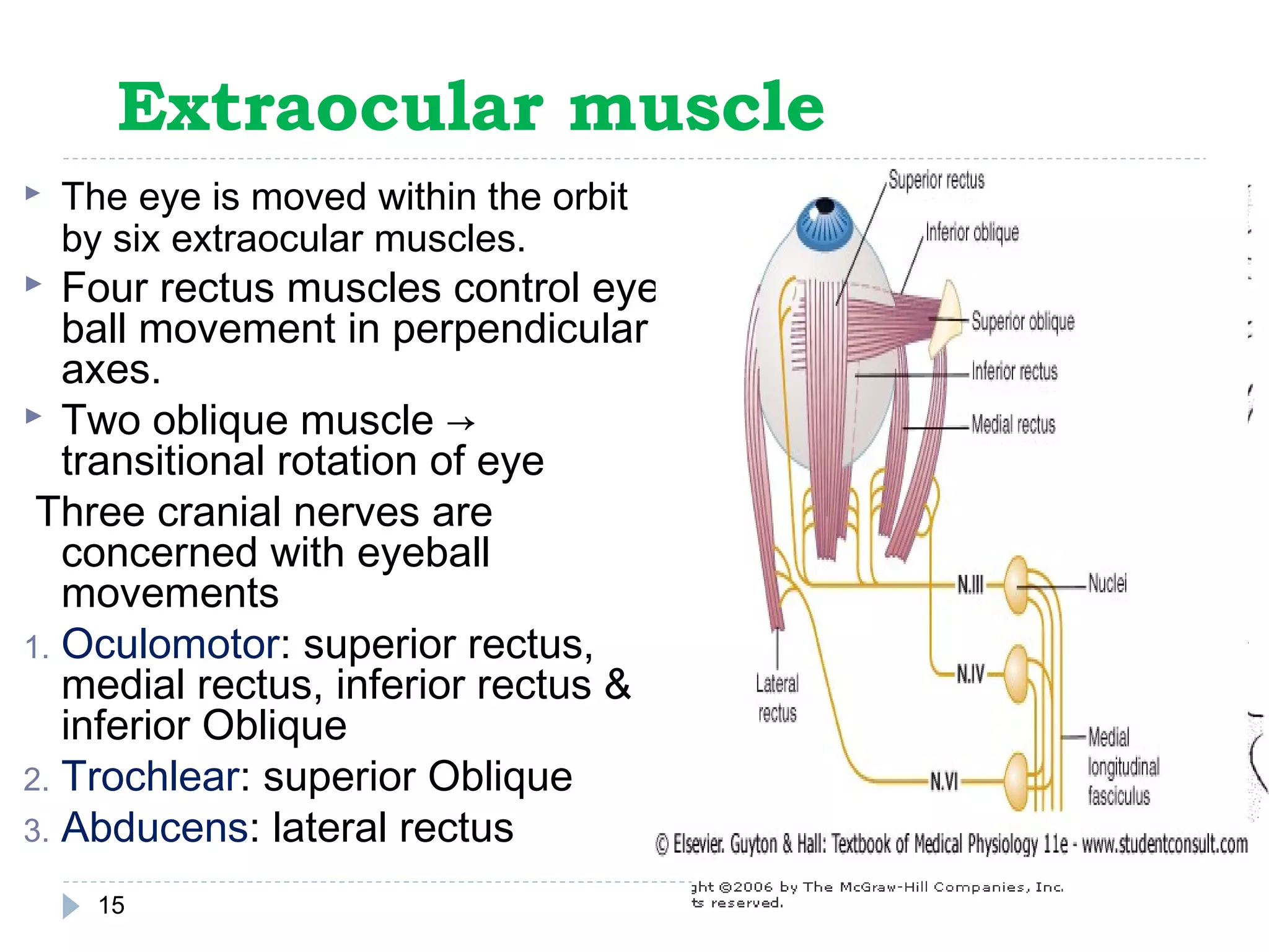 Physiology of the eye | PPT