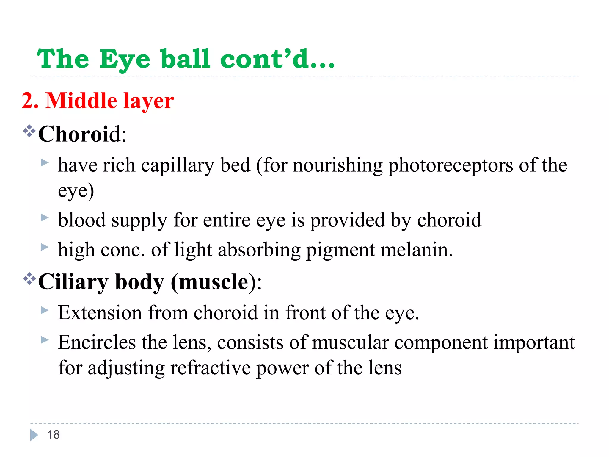 Physiology of the eye | PPT