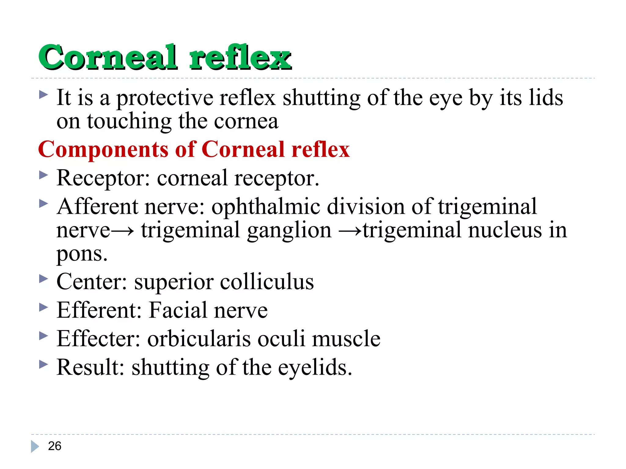Physiology of the eye | PPT