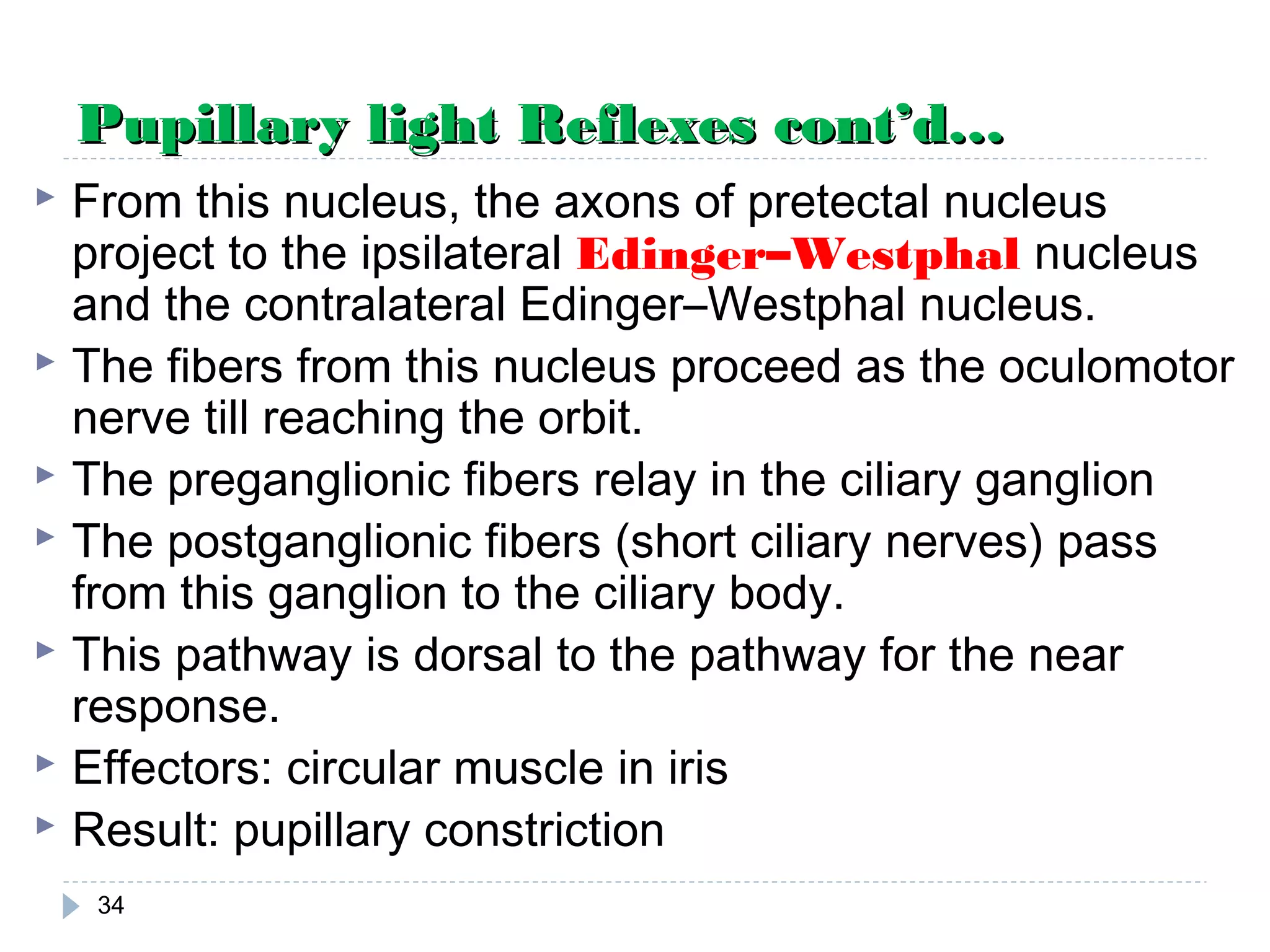 Physiology of the eye | PPT