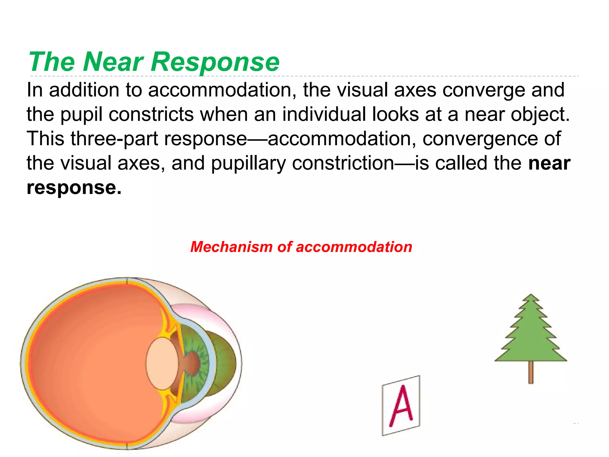Physiology of the eye | PPT