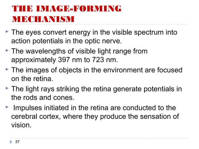 Physiology of the eye | PPT | Eye and Vision Conditions | Diseases and Conditions