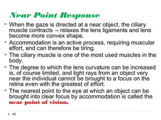 Physiology of the eye | PPT