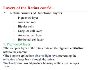 Physiology of the eye | PPT