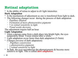 Physiology of the eye | PPT
