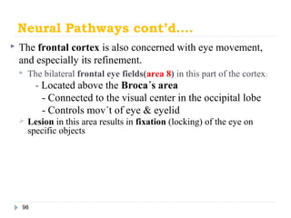 Physiology of the eye | PPT