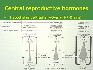 physiologyofthefemalereproductivesystem-100515015545-phpapp01 (2).pdf