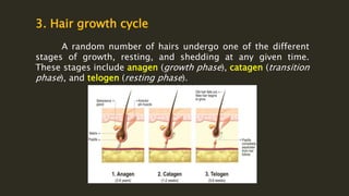 Physiology of the integumentary system | PPTX