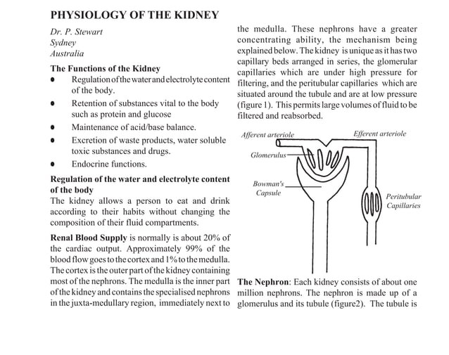 Physiology of the kidney.ogbk.pdf ( KINGDAVID) | PDF