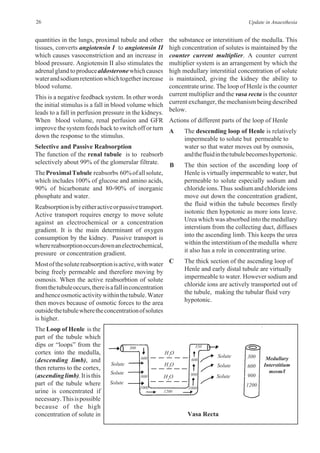 Physiology of the kidney.ogbk.pdf ( KINGDAVID) | PPT