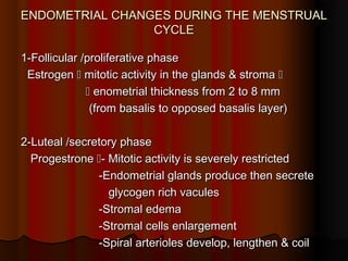 Physiology of The Menstrual Cycle | PPT