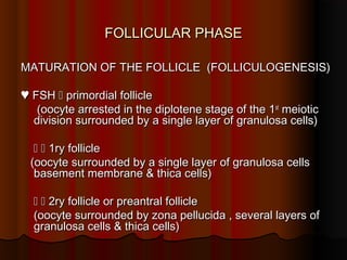Physiology of The Menstrual Cycle | PPT