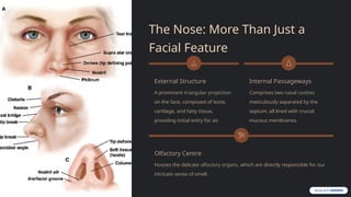 Physiology of the Nose - Manas (65).pptx