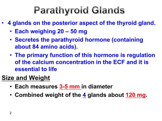 Physiology of the PARATHYROID Gland for Medical Students.pdf