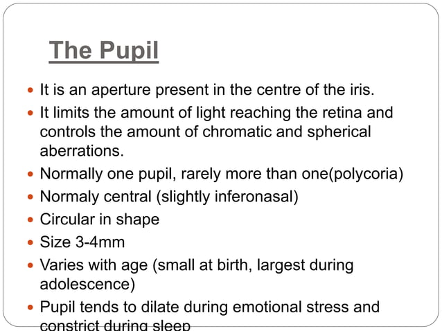 Physiology of the pupil.pptx | Eye and Vision Conditions | Diseases and ...