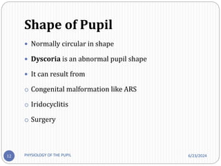 studies of PHYSIOLOGY OF THE PUPIL.pptx