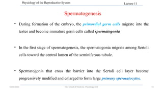 Physiology of the Reproductive System for PC.pptx