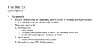 Physiology of the Reproductive System I.pptx